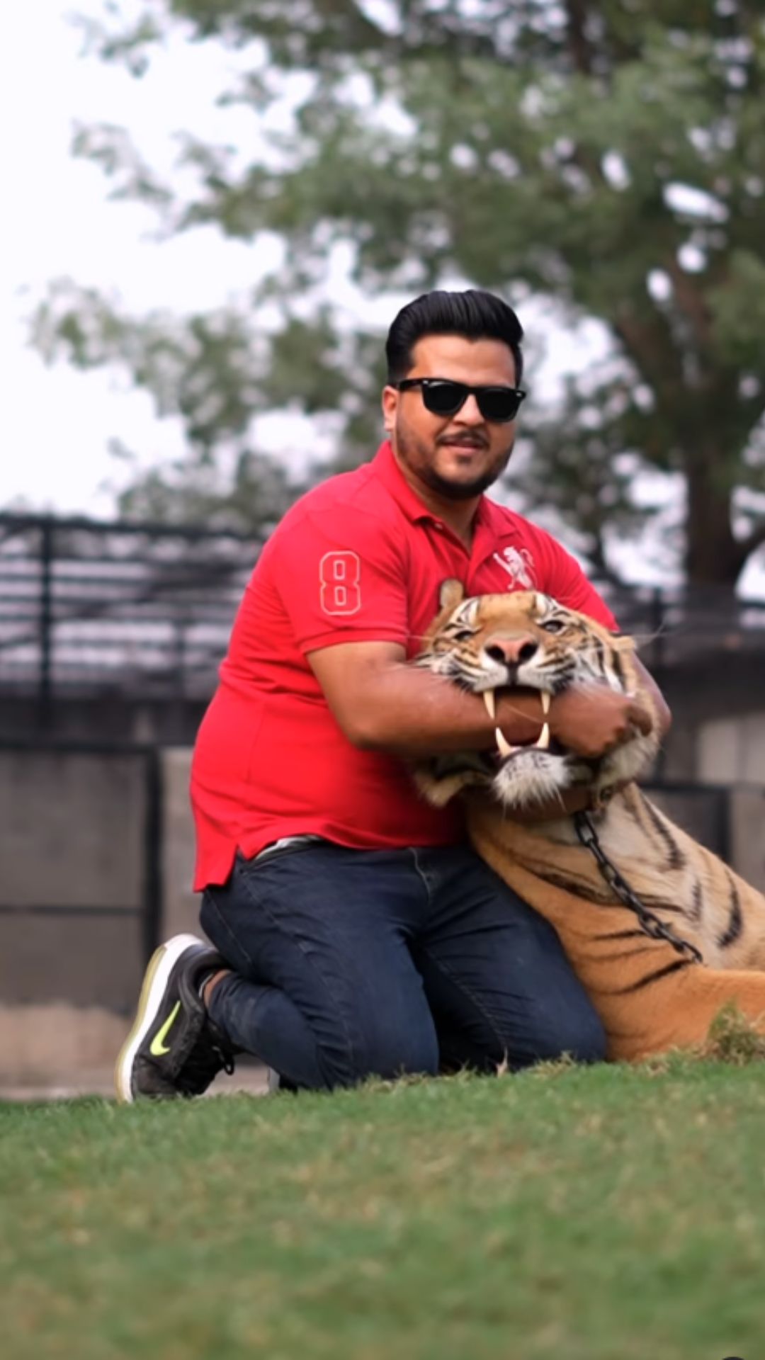 Pakistani Influencer का Tiger के साथ Dangerous Stunt, Social Media पर ...